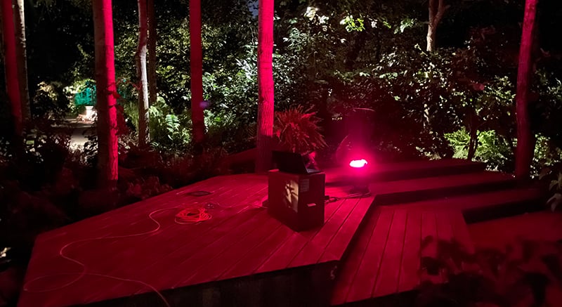 GLEAM 2023: Enchanted Tree Chronicles