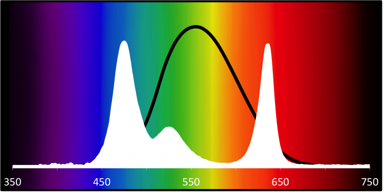 Battle of the bulbs – et cetera...