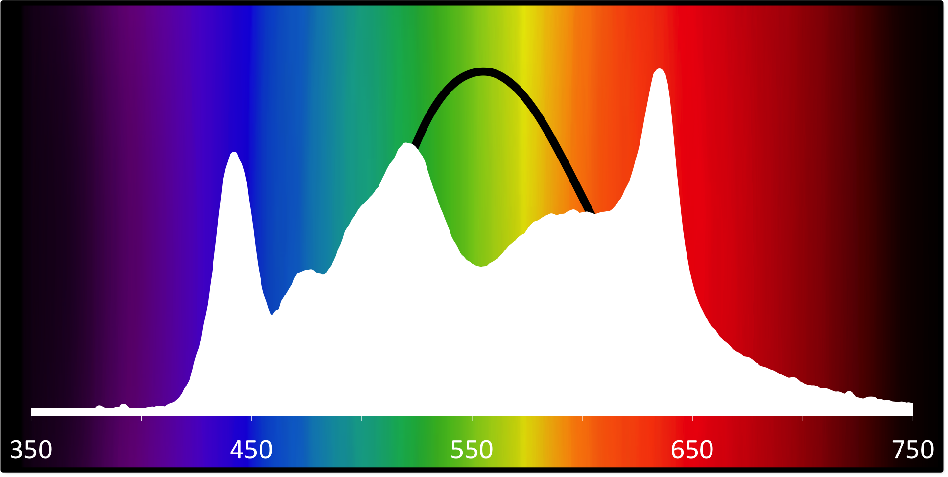 Battle of the bulbs – et cetera...