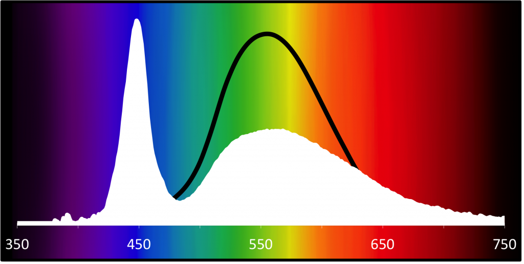 Battle of the bulbs – et cetera...