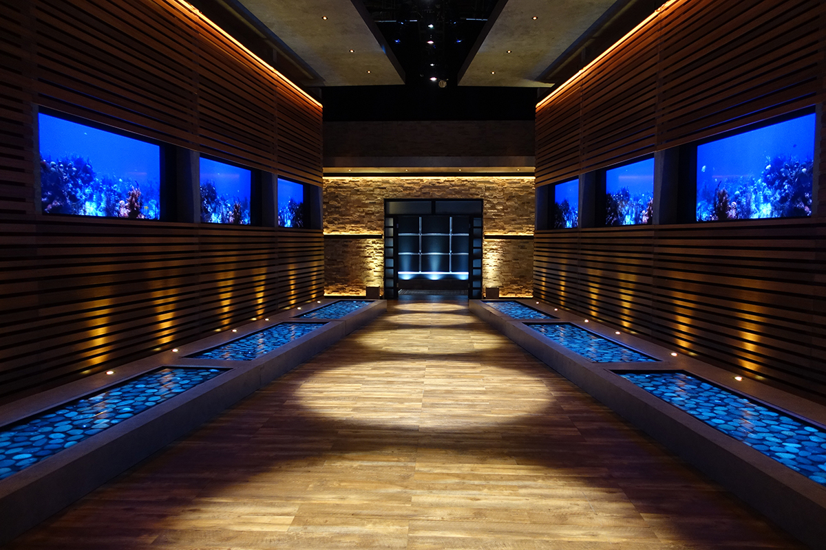 ETC swims with the sharks – et cetera...