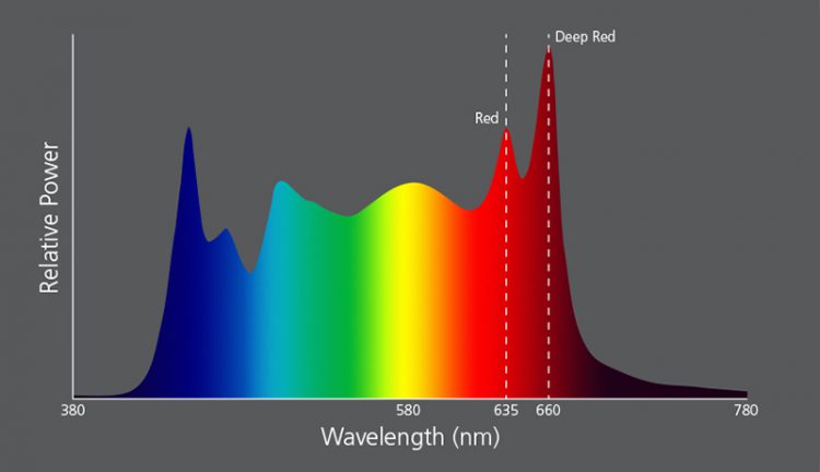 fos/4 a soft light for the studio without compromising on brightness